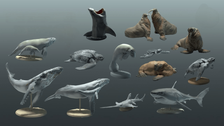 Aquatic Animals pack 3d printing stl files - 3D PRINT MAKER CLUB