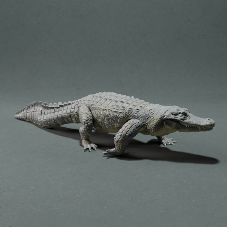 American Alligator Crocodile pack 3d printing stl files - 3D PRINT ...