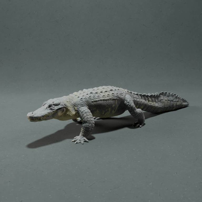 American Alligator Crocodile pack 3d printing stl files - 3D PRINT ...